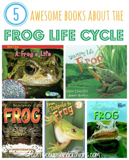 13 Frog Life Cycle Resources and Printables - Teach Junkie