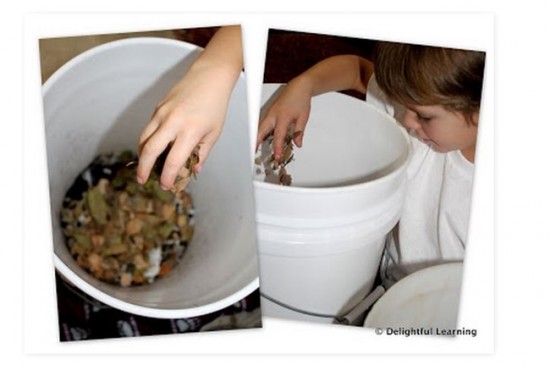 16 Classic and Creative Ways to Teach Worms - Teach Junkie