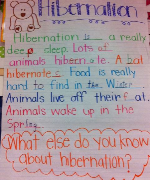 8 Hibernation and Migration Ready to Go Resources - Teach Junkie