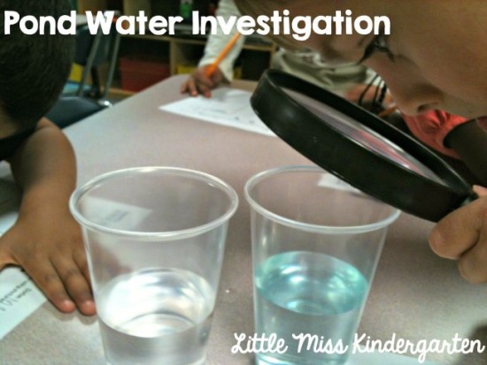 98 First Grade-Friendly Teaching Ideas - Teach Junkie